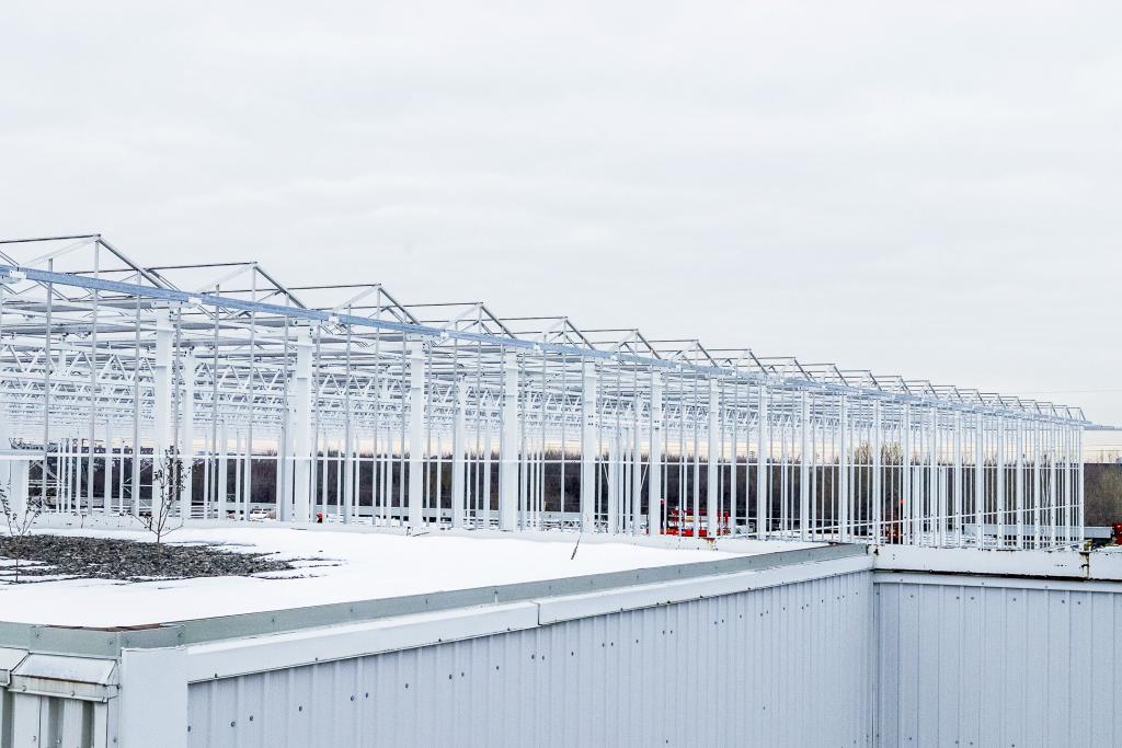 Lufa Farms - 4th Greenhouse | FDA Construction inc.