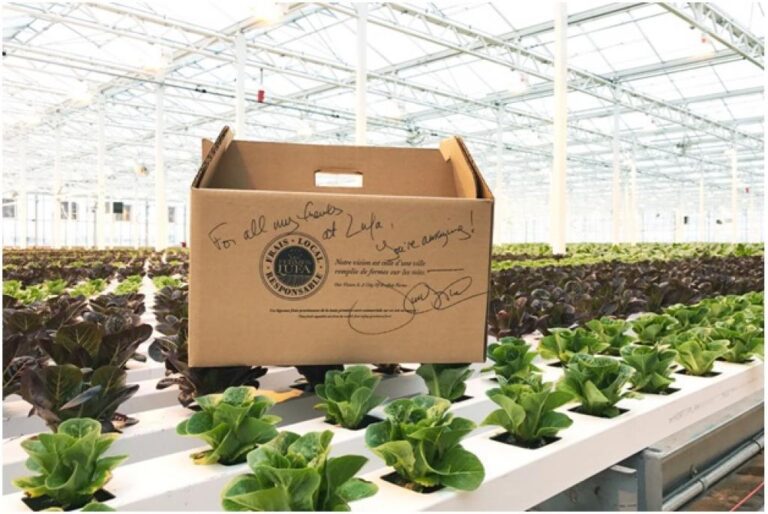 Projets | FDA Construction inc.